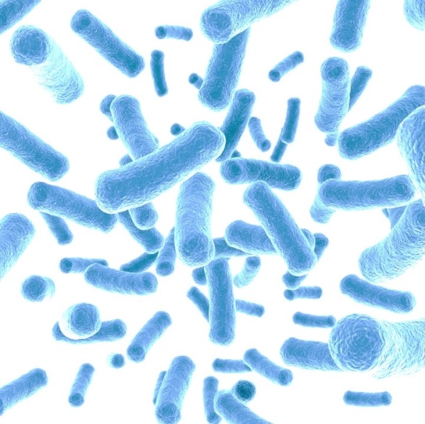 Probiotic Plus – InfinityHealth4u | Home