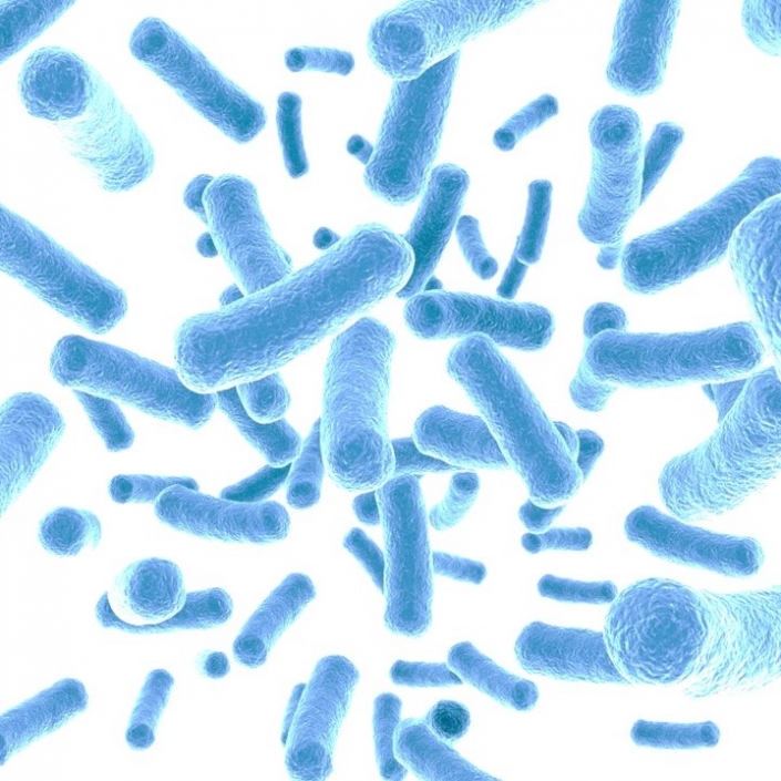 Probiotic Plus – InfinityHealth4u | Home